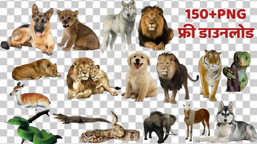 All animal Png download free| Dog png, horse png,Snake png, tiger png ...